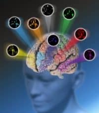 New Microscopy Method Breaks Color Barrier - Industrial Camera Sales